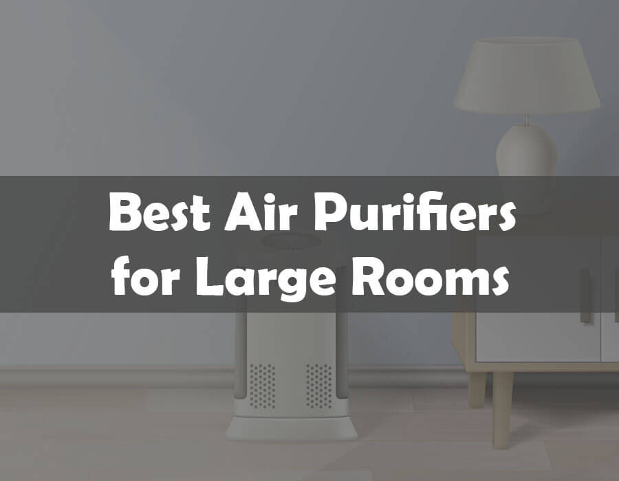 The 8 Best Small Air Purifiers of 2025