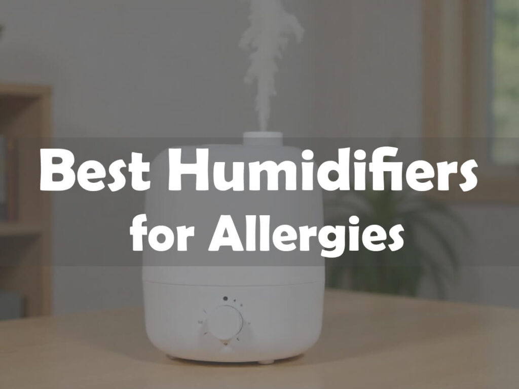 The 10 Best Humidifiers for Large Rooms of 2025