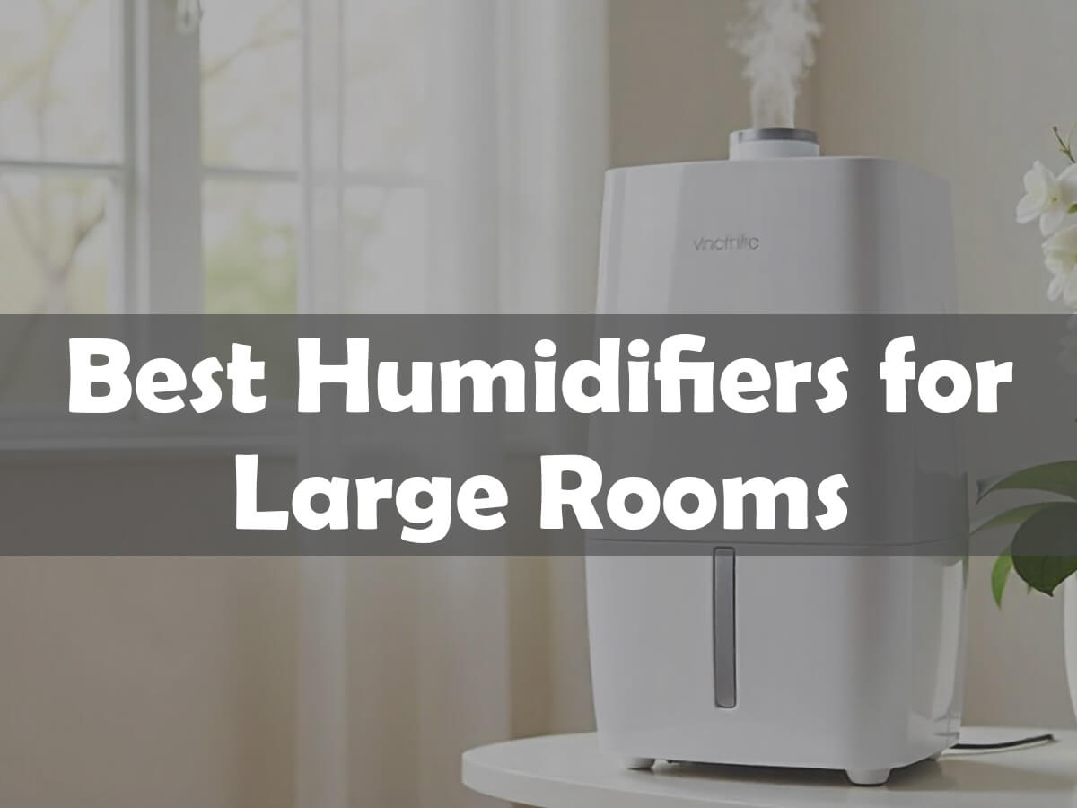 The 10 Best Humidifiers for Bedroom of 2025