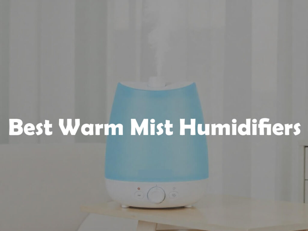 The 10 Best Humidifiers for Bedroom of 2025