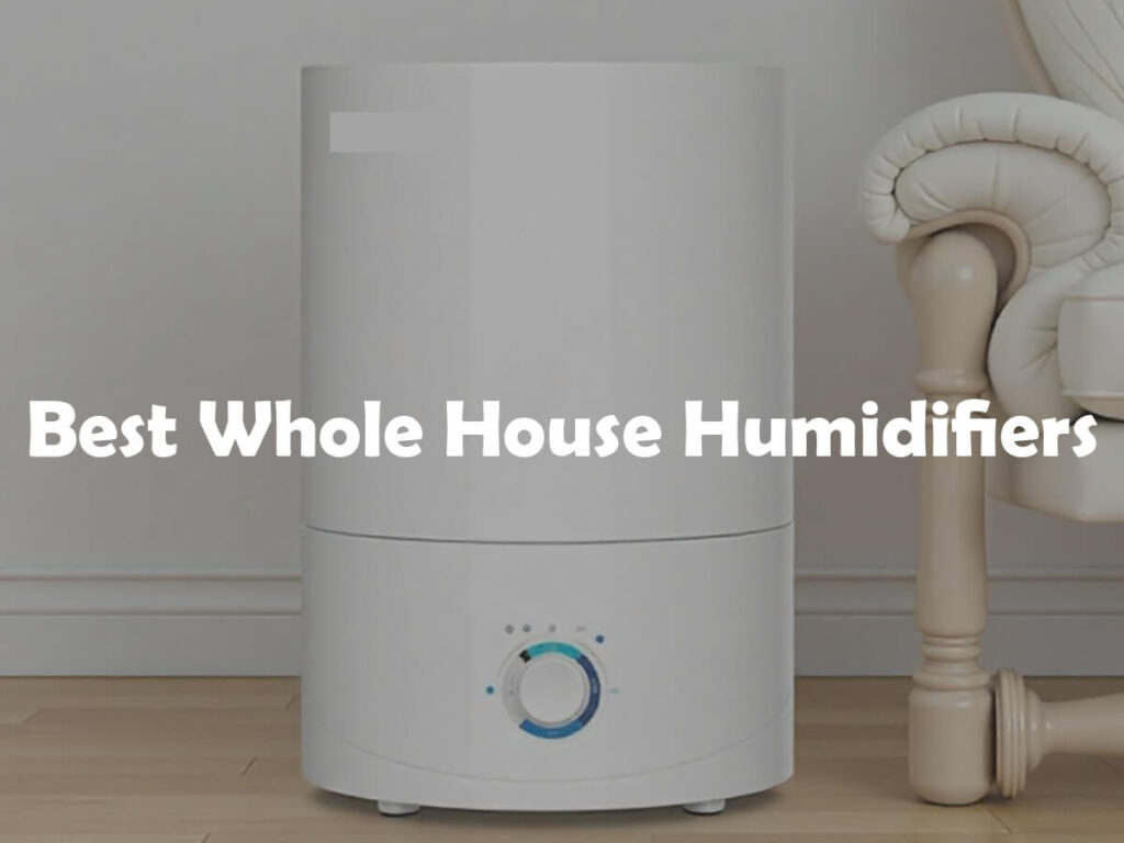 The 8 Best Humidifiers for Allergies of 2025
